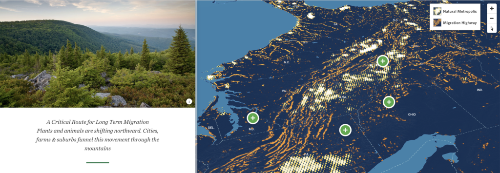 The Cumberland Forest Project - Seven Mile Media