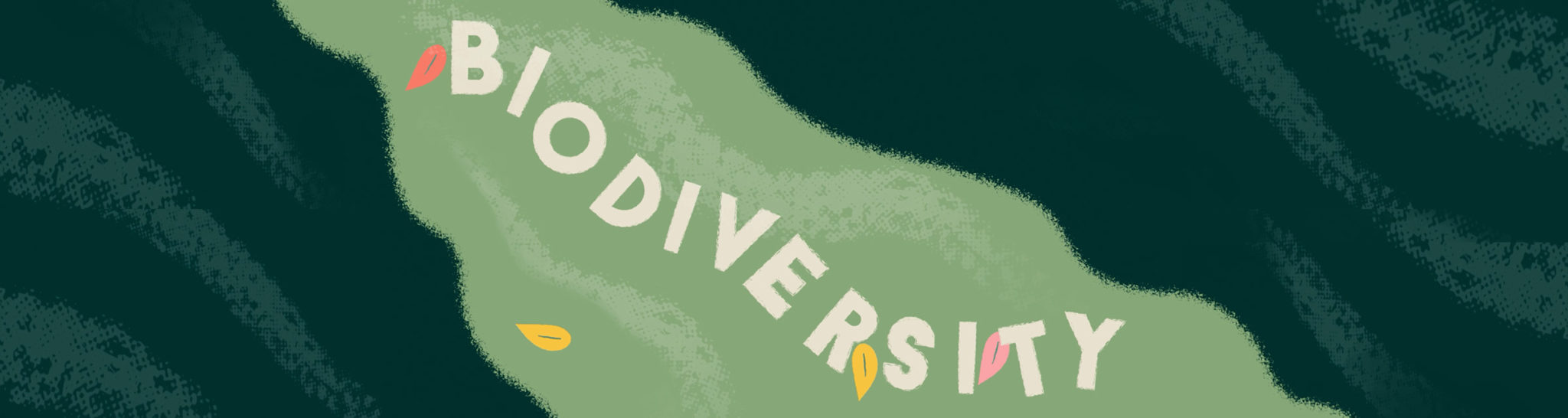 WWF Wild Classroom Animation - Seven Mile Media